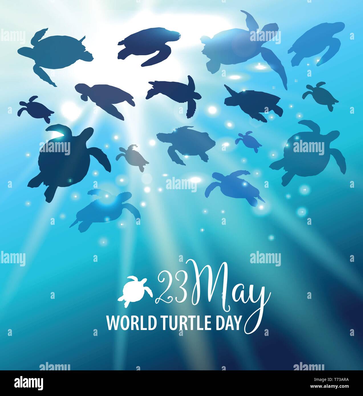 World Turtle Day 23 May background. Turtle swims in the ocean against ...