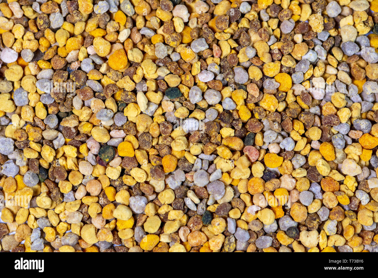macro and details of bee pollen granules, photo completely full of ...
