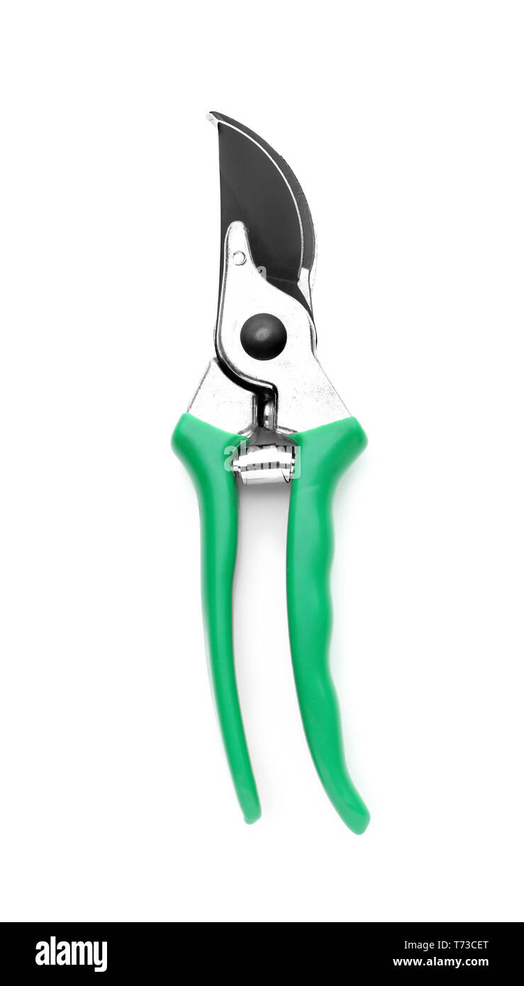 Garden pruner on white background Stock Photo - Alamy