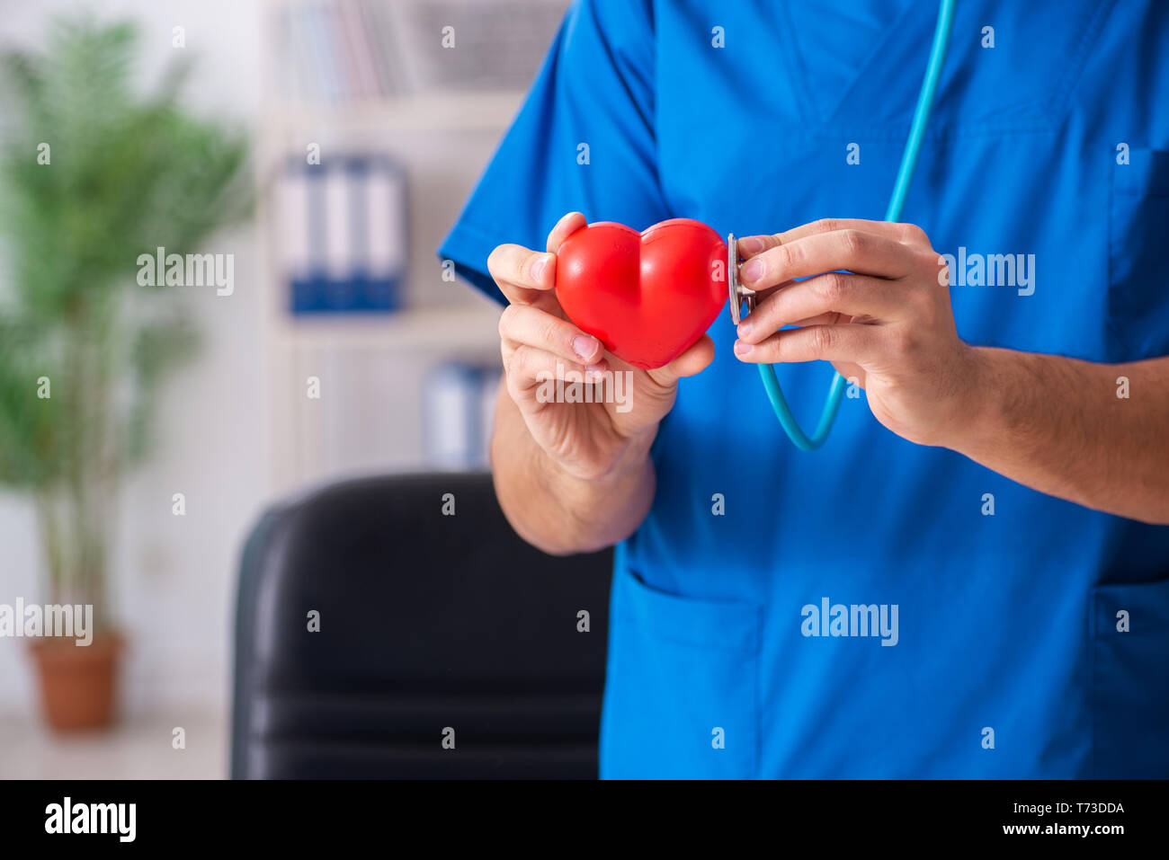 Male doctor cardiologist holding heart model Stock Photo - Alamy
