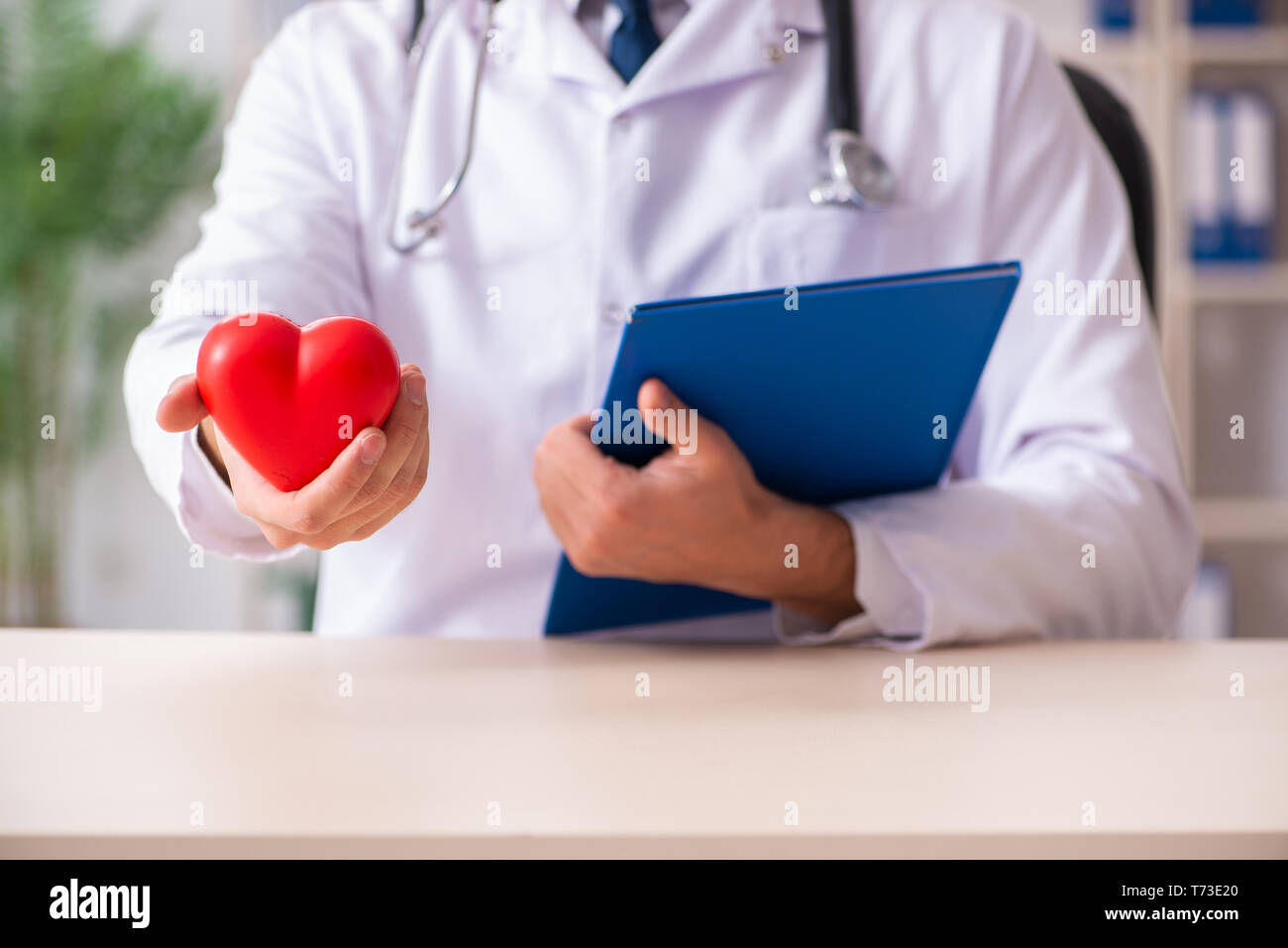 Male doctor cardiologist holding heart model Stock Photo - Alamy
