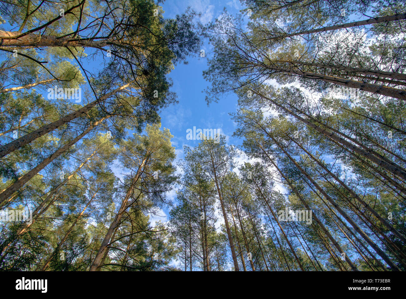 Perspective low angle hi-res stock photography and images - Alamy