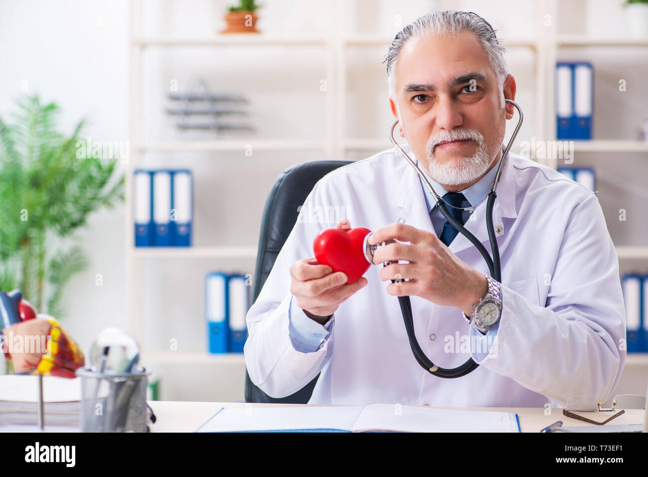Aged male doctor cardiologist with heart model Stock Photo - Alamy