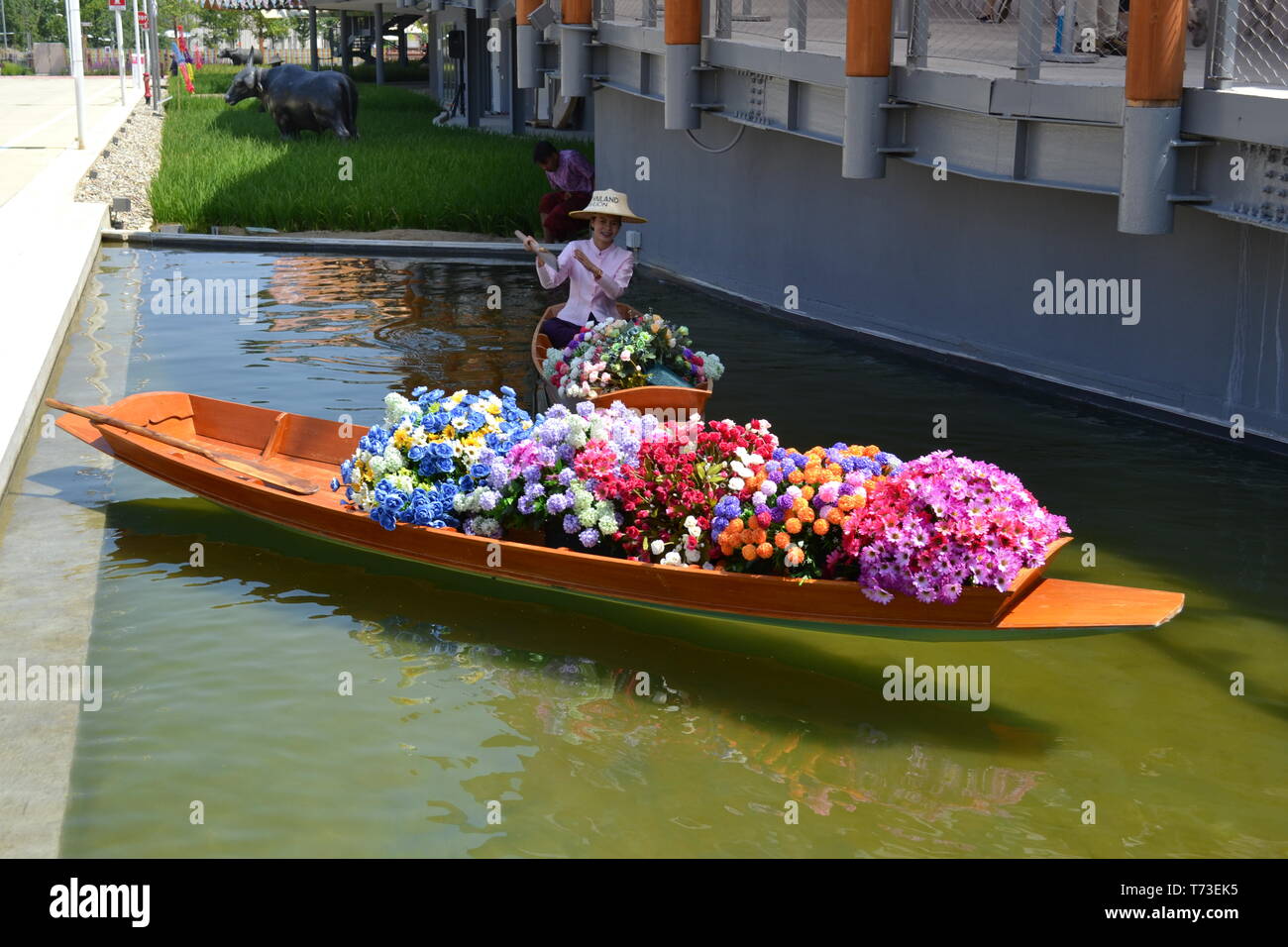 Asian water flowers hi-res stock photography and images - Alamy