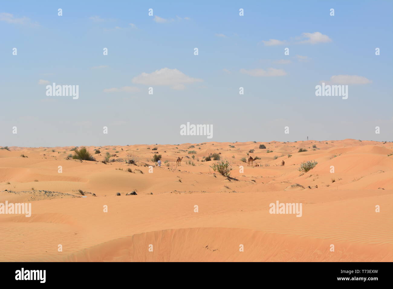 Hiking desert uae hi-res stock photography and images - Alamy