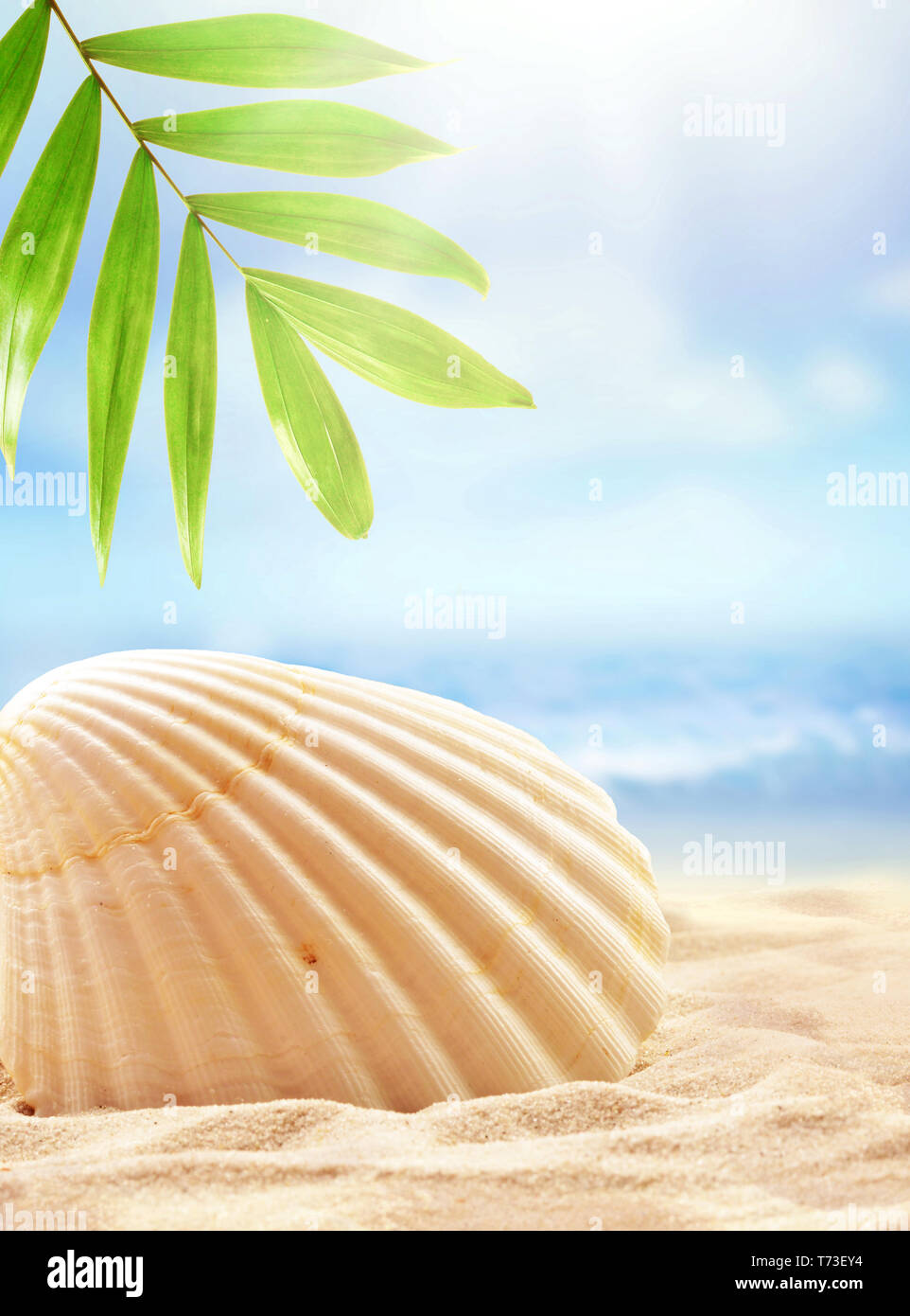 Summer beach. Seashell on a sand and sky as background Stock Photo - Alamy