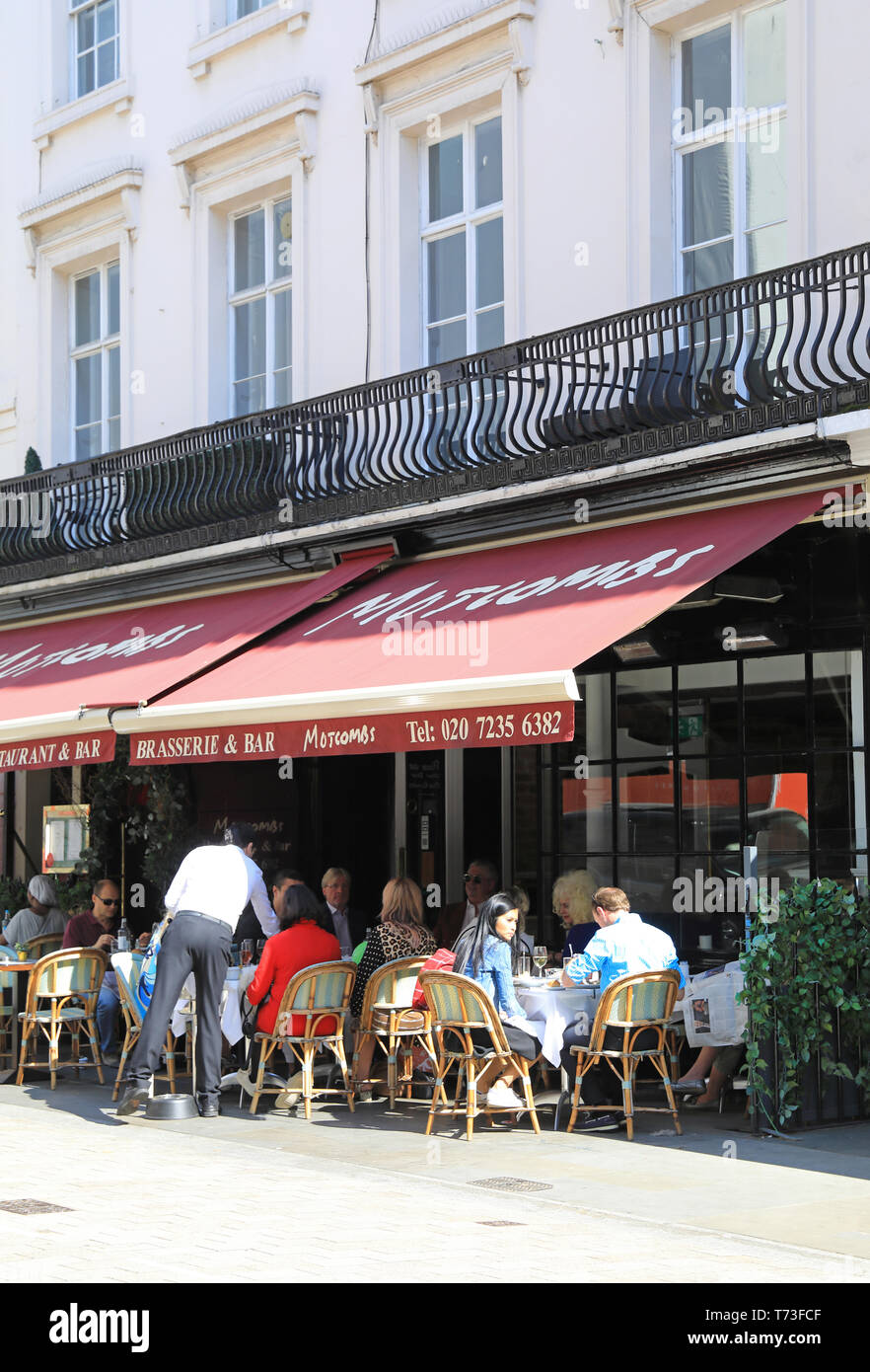 Motcombs Bar & Brasserie on stylish Motcomb Street, in Belgravia ...