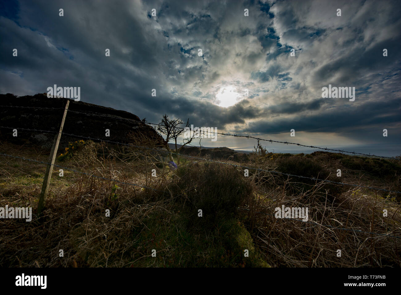 Rosewall hill hi-res stock photography and images - Alamy