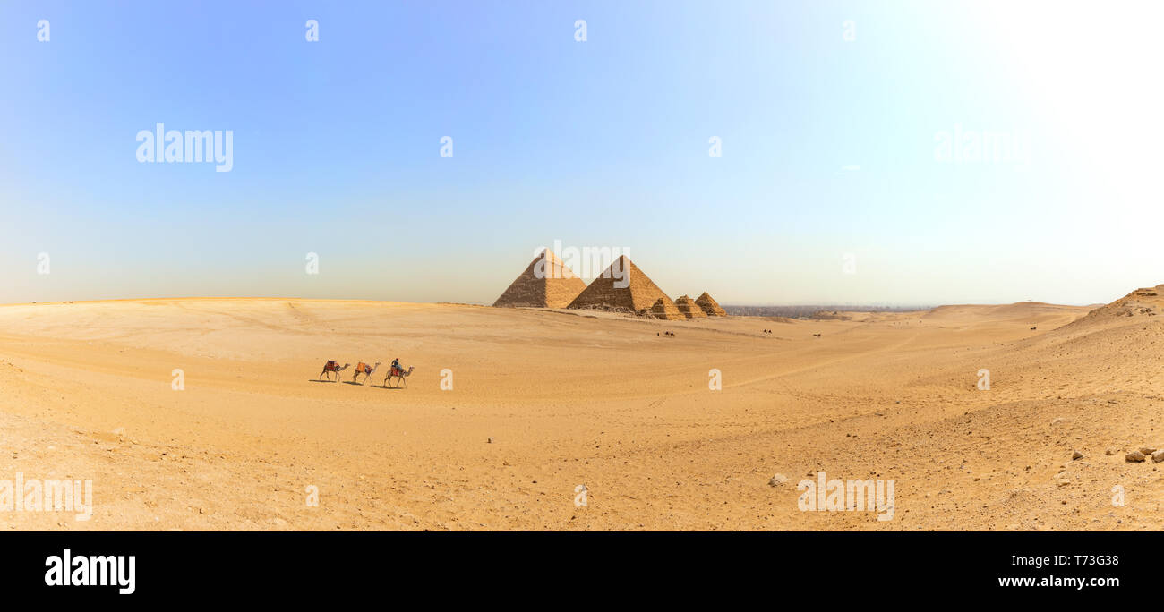 Panorama of the Giza desert with the Great Pyramids and camels, Egypt ...
