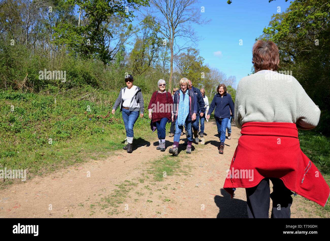 Ramblers walking in spring sunshine, Legbourne Wood, Lincolnshire ...