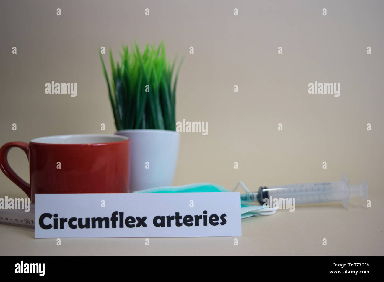 Circumflex artery hi-res stock photography and images - Alamy