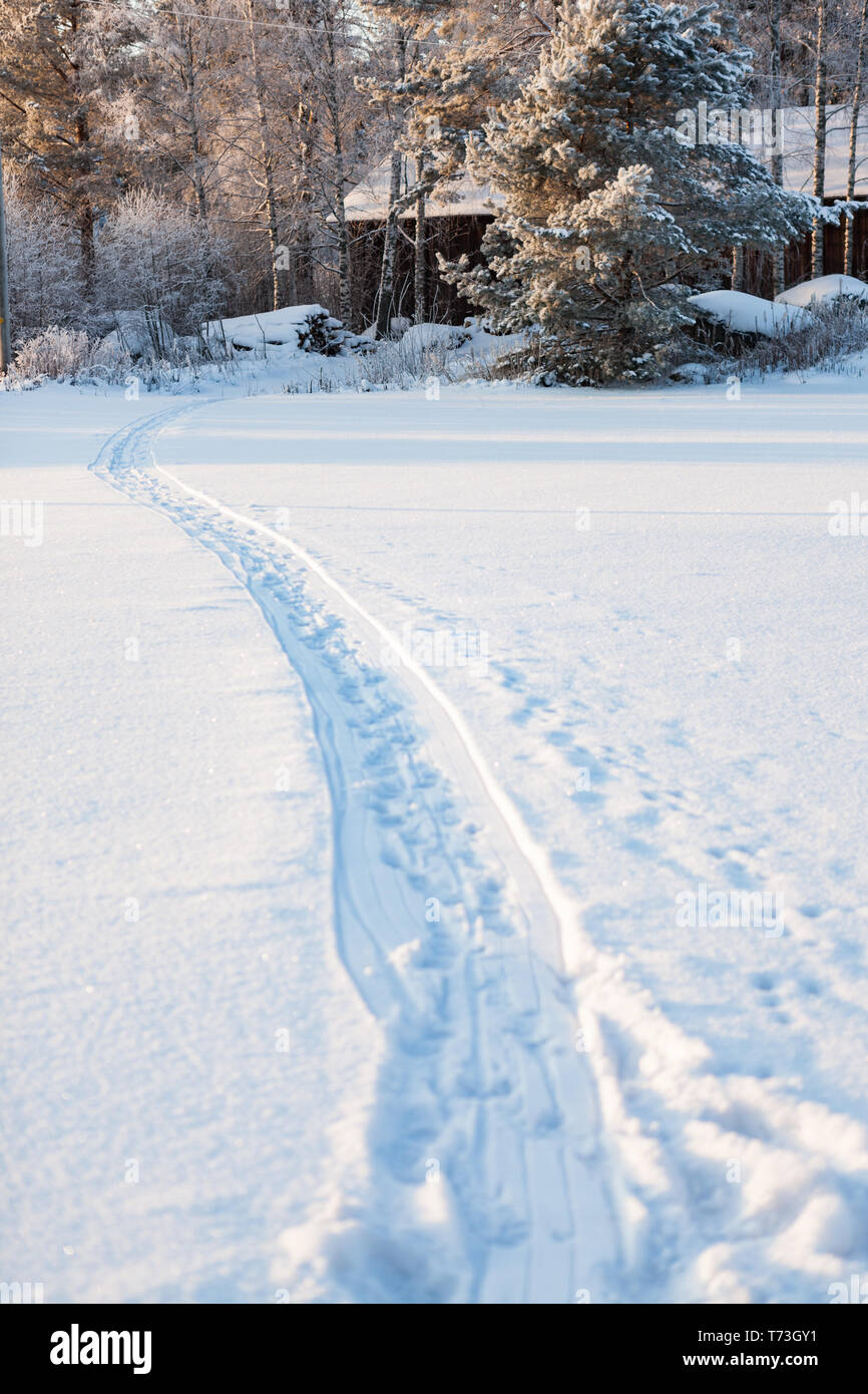 Sled track hi-res stock photography and images - Alamy