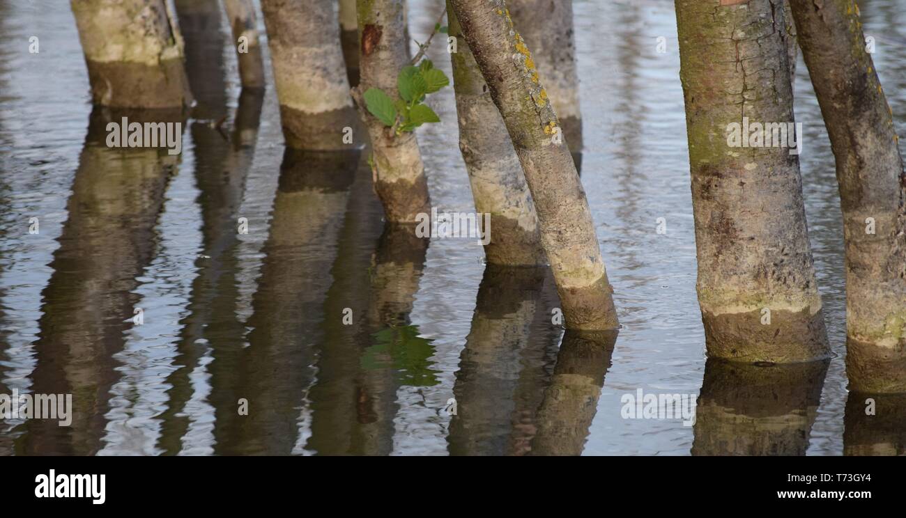 Lowering the water level hi-res stock photography and images - Alamy