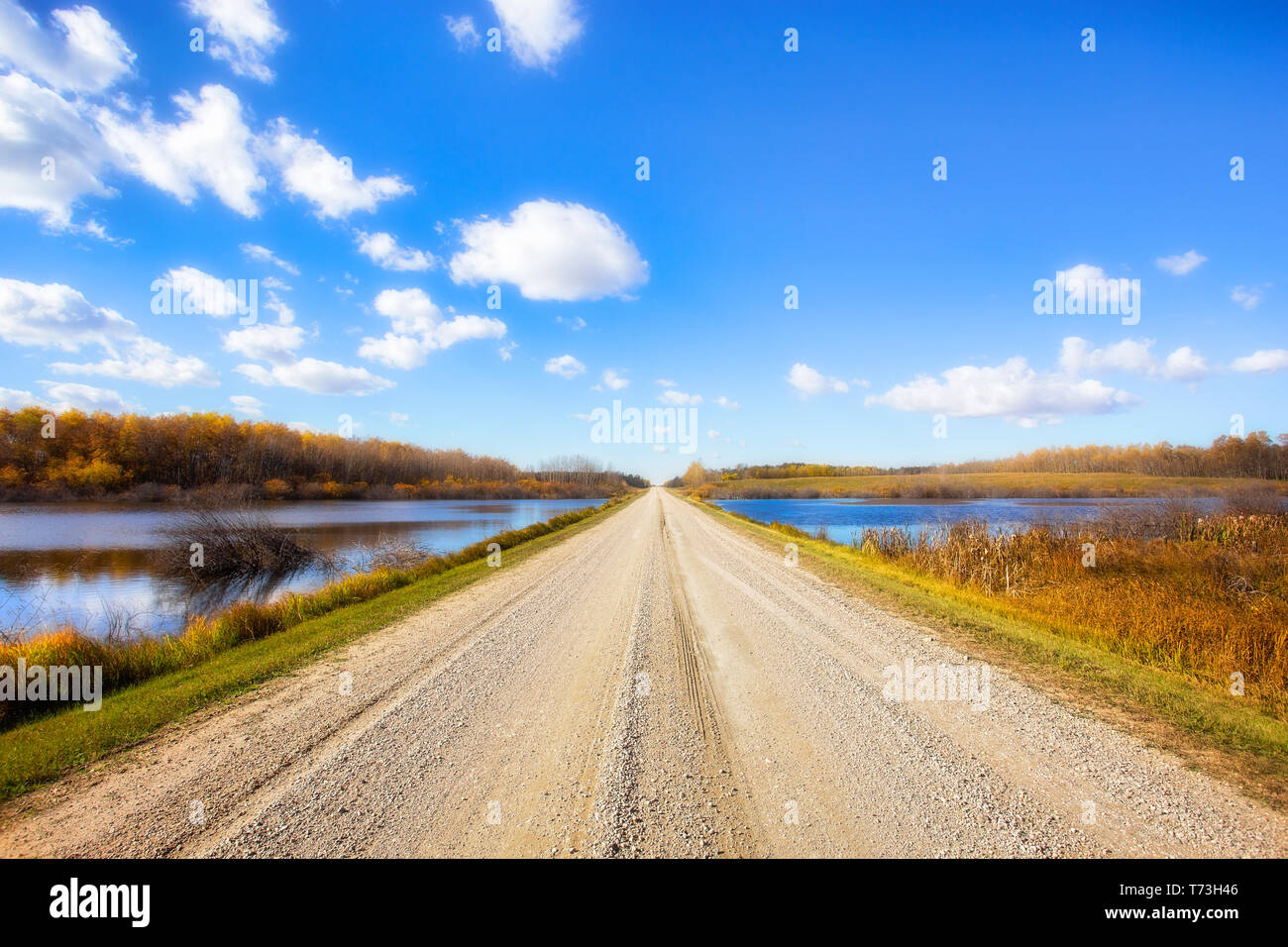 A gravel backroad dividing ponds of water sided with autumn colored ...