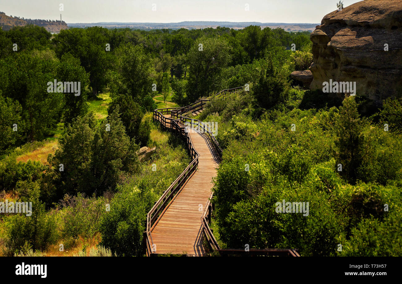 Plank walkway hi-res stock photography and images - Alamy
