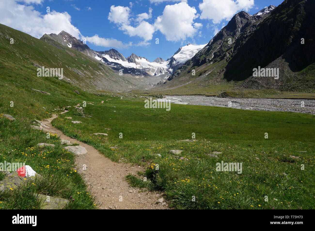 A typical alpine view with rocky mountains, glaciers, green meadows and ...