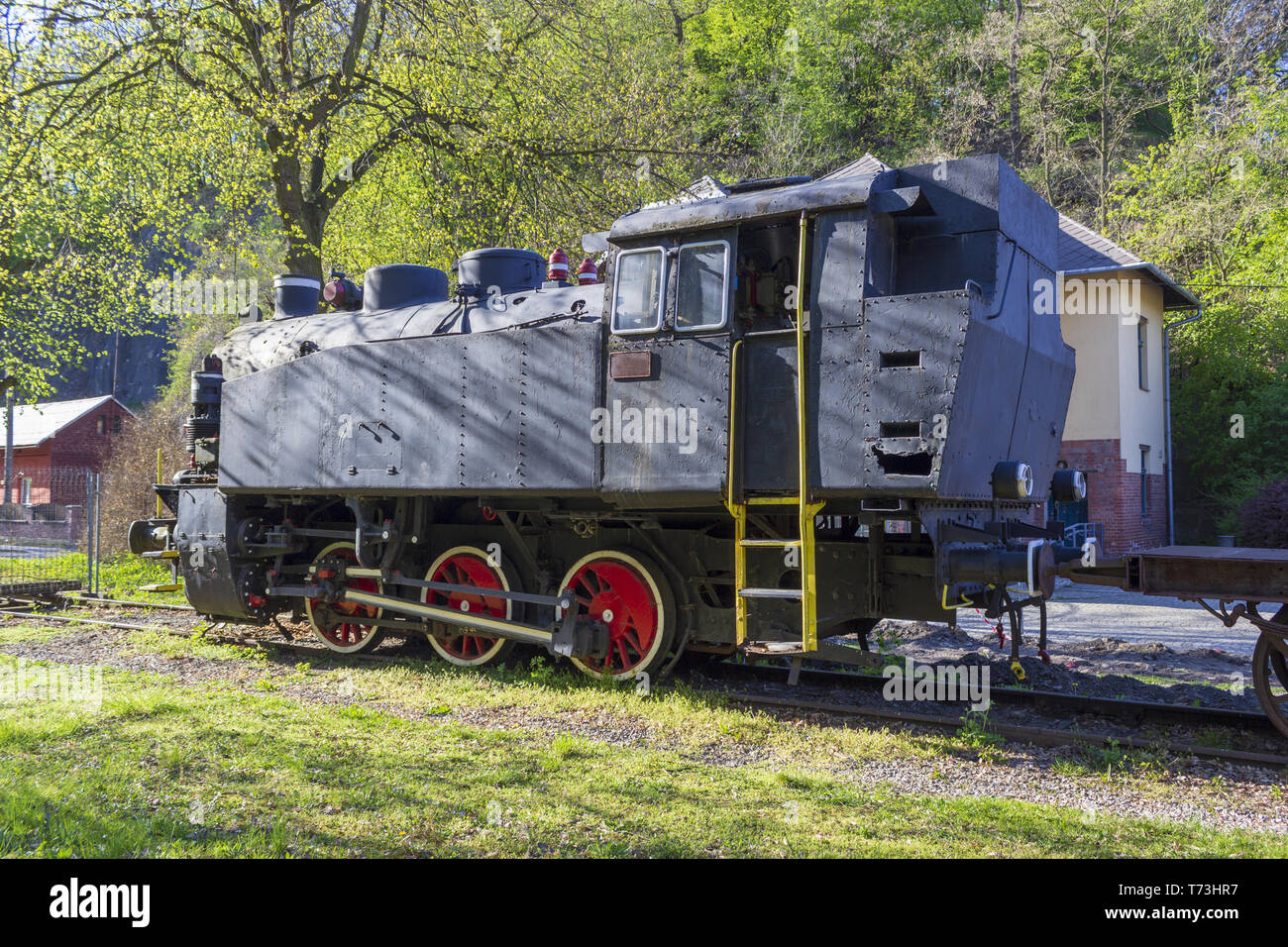 Old steam locomotive on rails in foreground are trees Stock Photo - Alamy