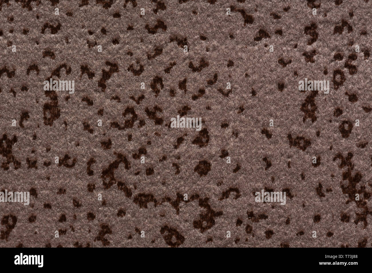 Grey-brown fabric texture in strict colour. High quality fabric ...