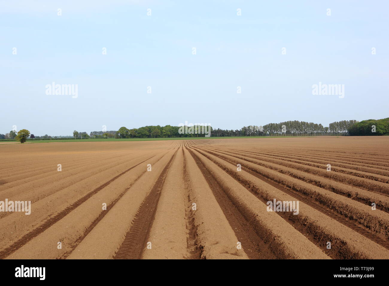 Cultivation ridges hi-res stock photography and images - Alamy