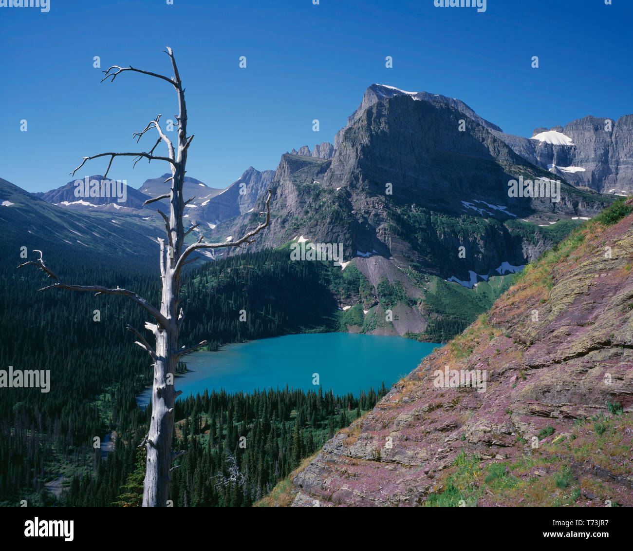 USA, Montana, Glacier National Park, Mount Gould and Angel Wing tower ...