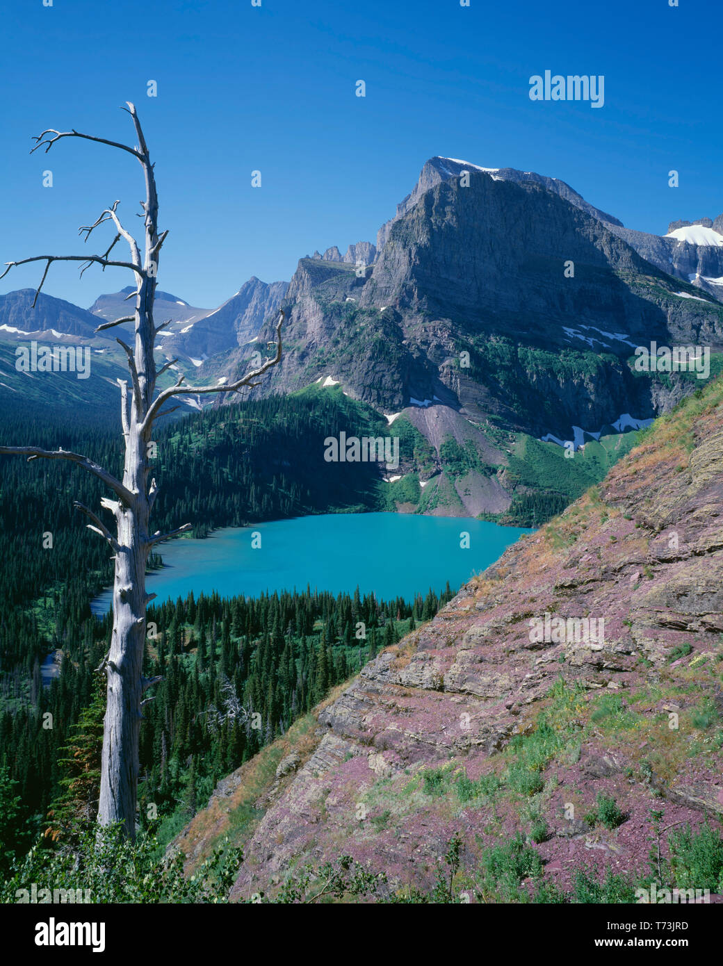 Mount gould and glacier hi-res stock photography and images - Alamy
