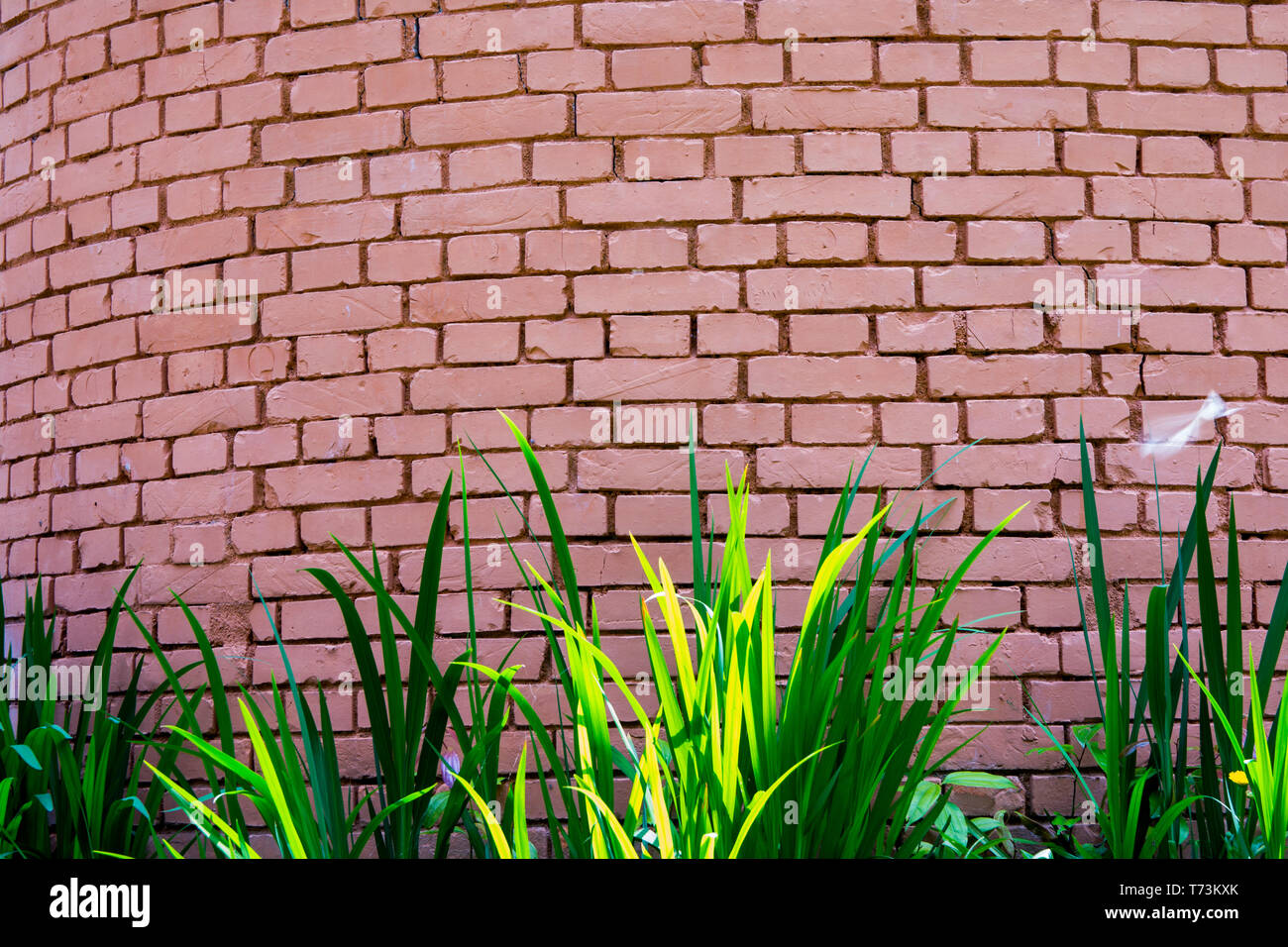 Medieval brick wall texture green hi-res stock photography and images ...