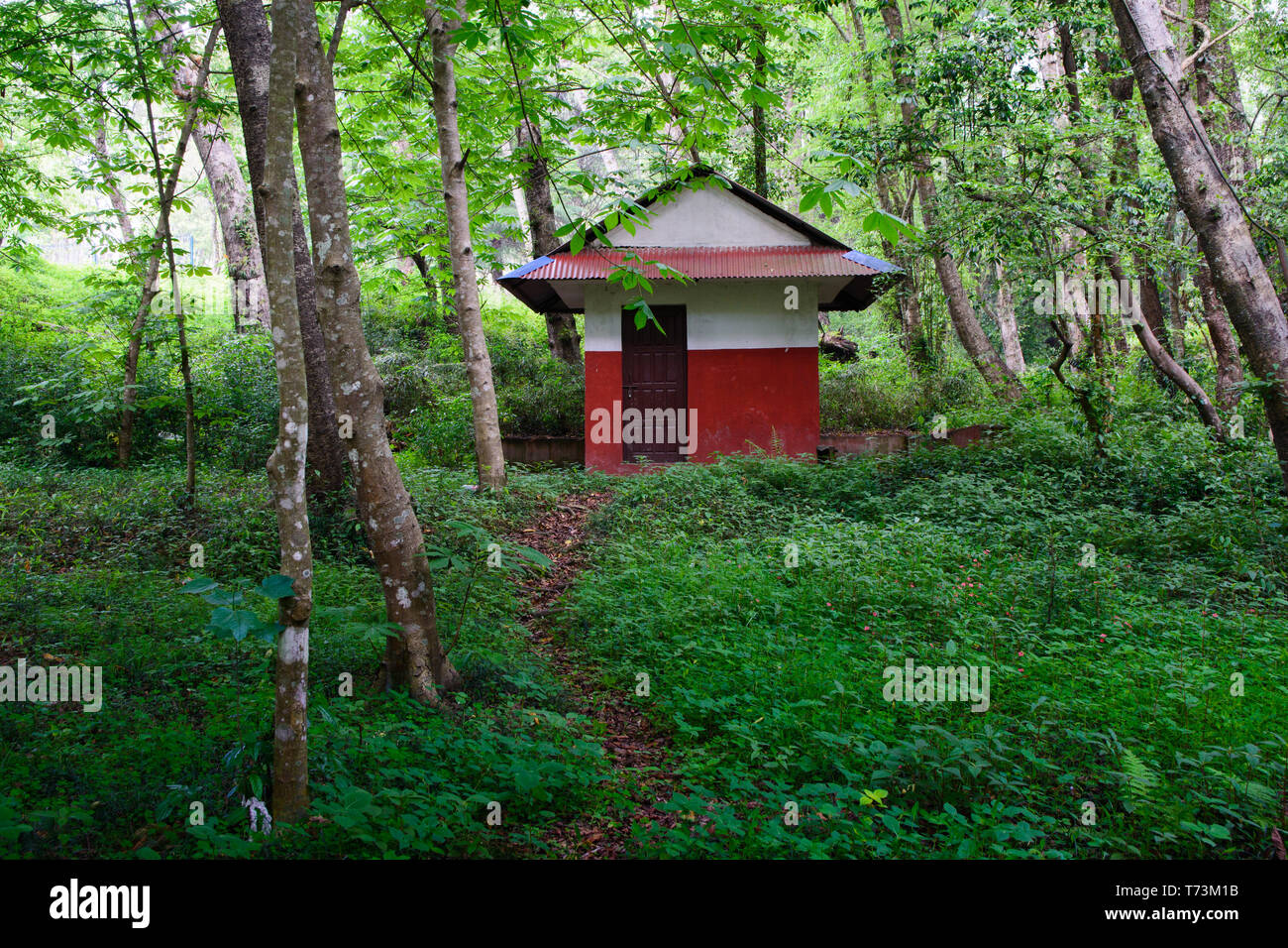 Forest rest house hi-res stock photography and images - Alamy