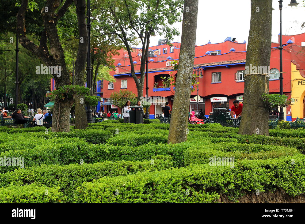 Tropical coyoacan hi-res stock photography and images - Alamy
