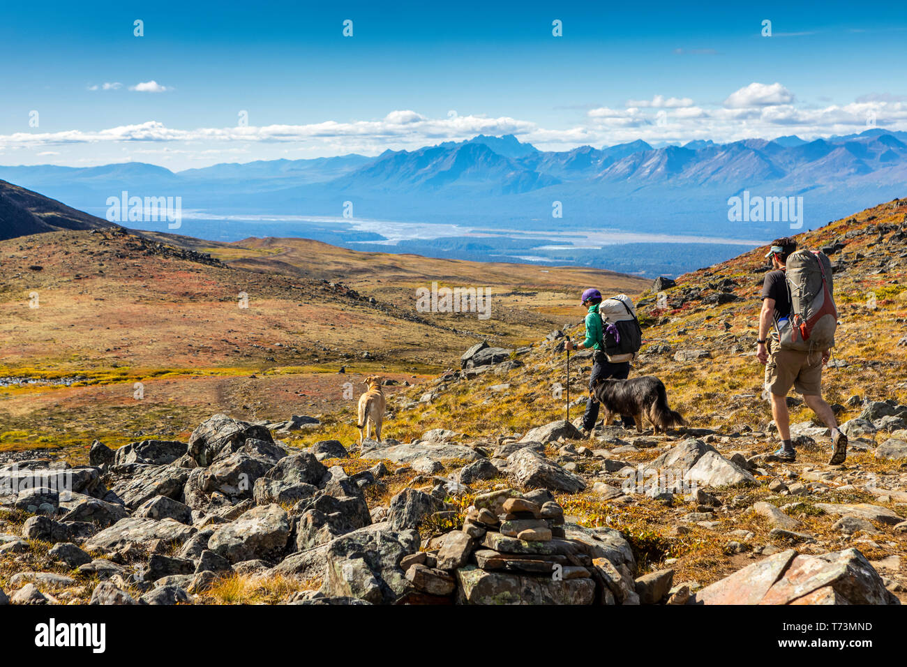 Man and woman backpacking on the tundra with dogs on the Kesugi Ridge ...