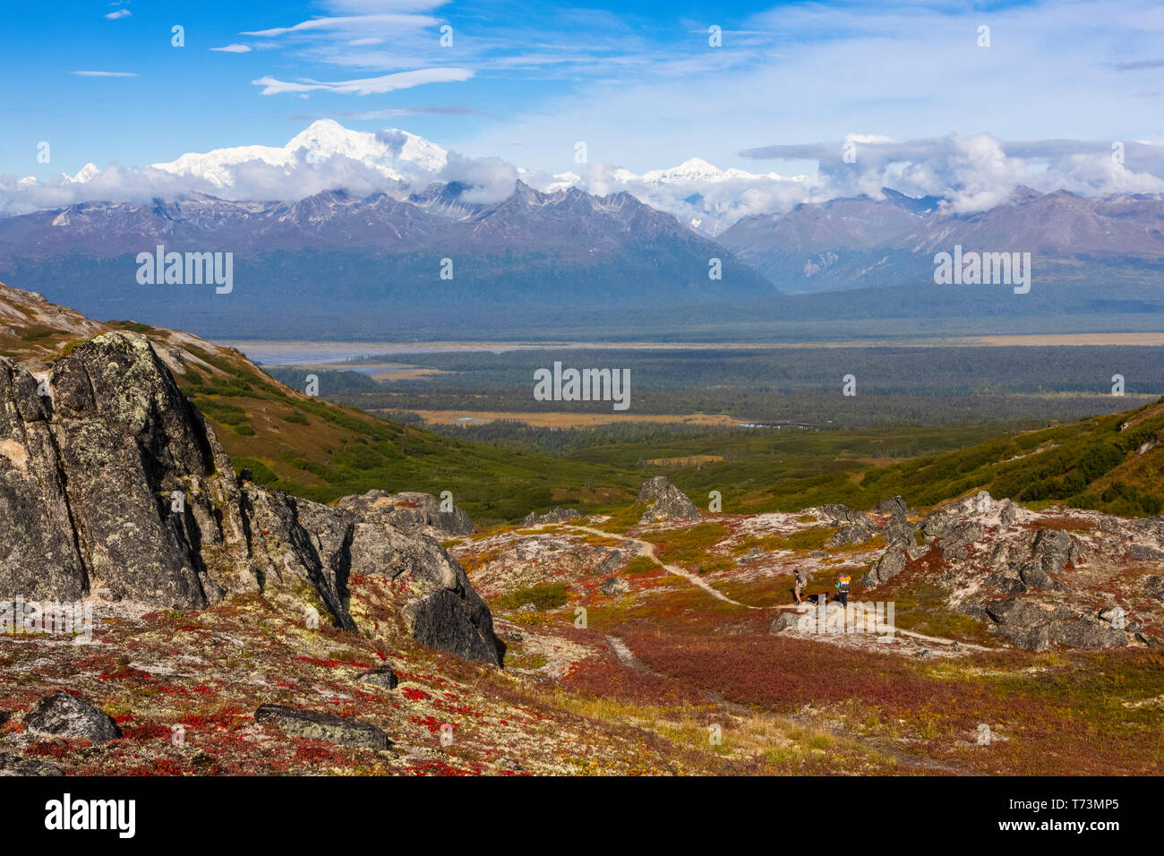 Woman and man backpacking with dogs on the tundra towards Denali and ...