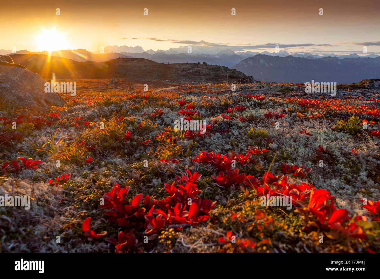 Tundra Sunset High Resolution Stock Photography and Images - Alamy