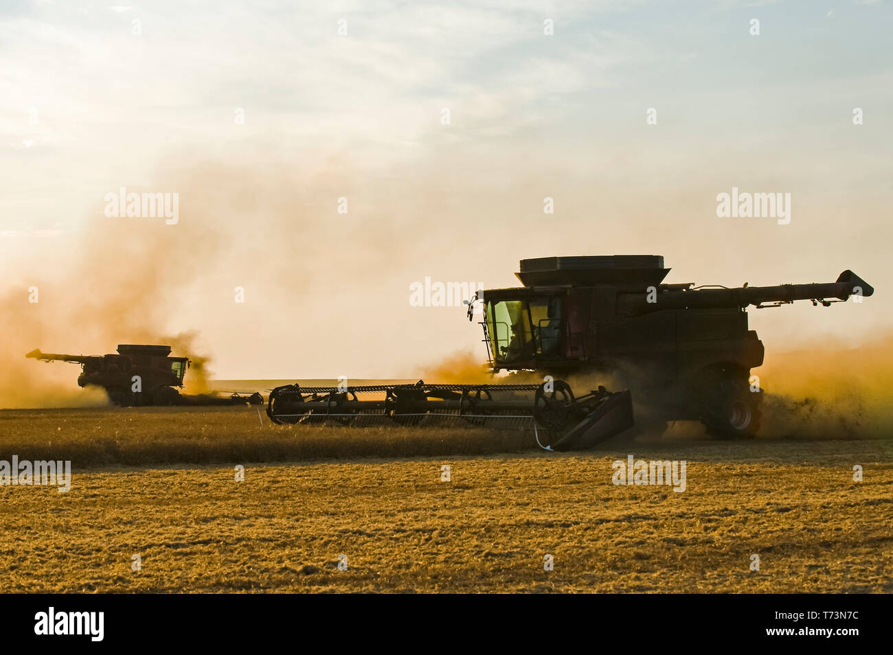 Pea harvester hi-res stock photography and images - Alamy