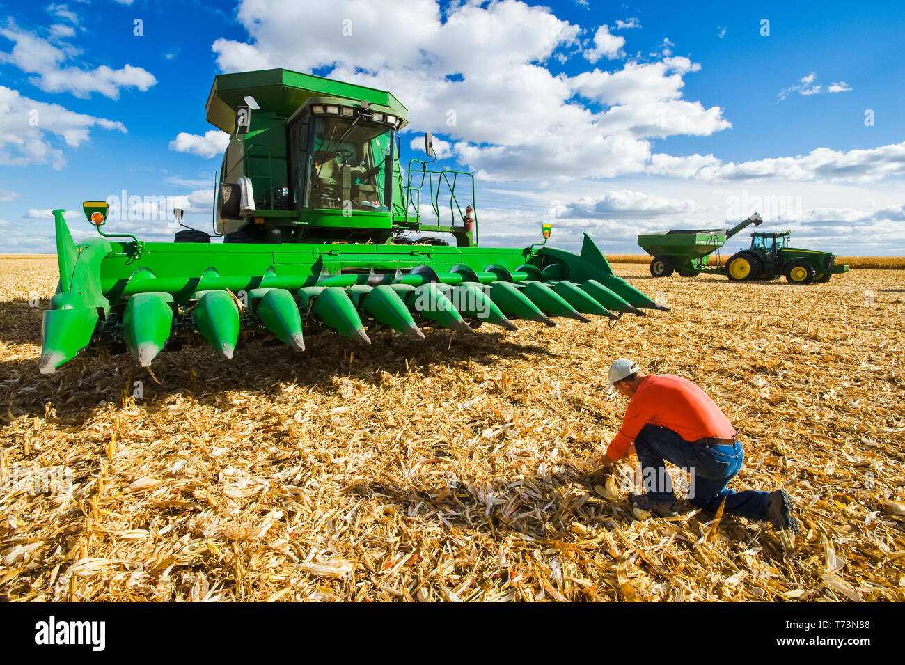 A farmer examines corn residue in front of a combine harvester with a ...