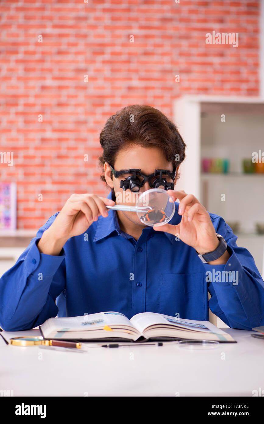 Student entomologist studying new species of butterflies Stock Photo ...