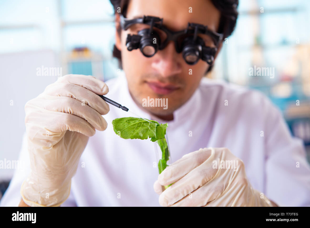 Male biotechnology scientist chemist working in the lab Stock Photo - Alamy