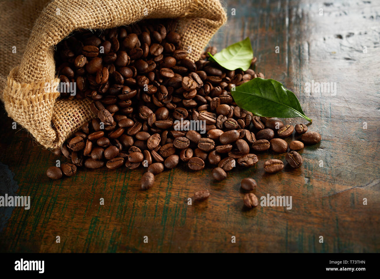 Fresh medium roasted coffee beans with green leaves spilling from a hessian sack onto an old ...