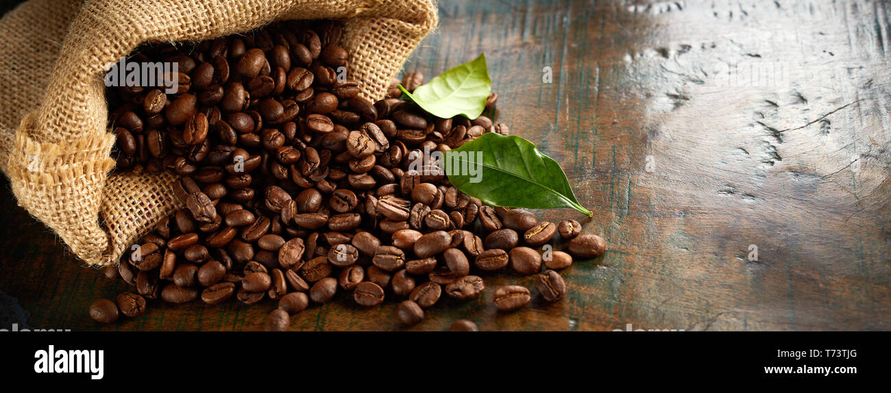 Panorama banner of fresh roasted coffee beans blended to provide the perfect flavor spilling ...