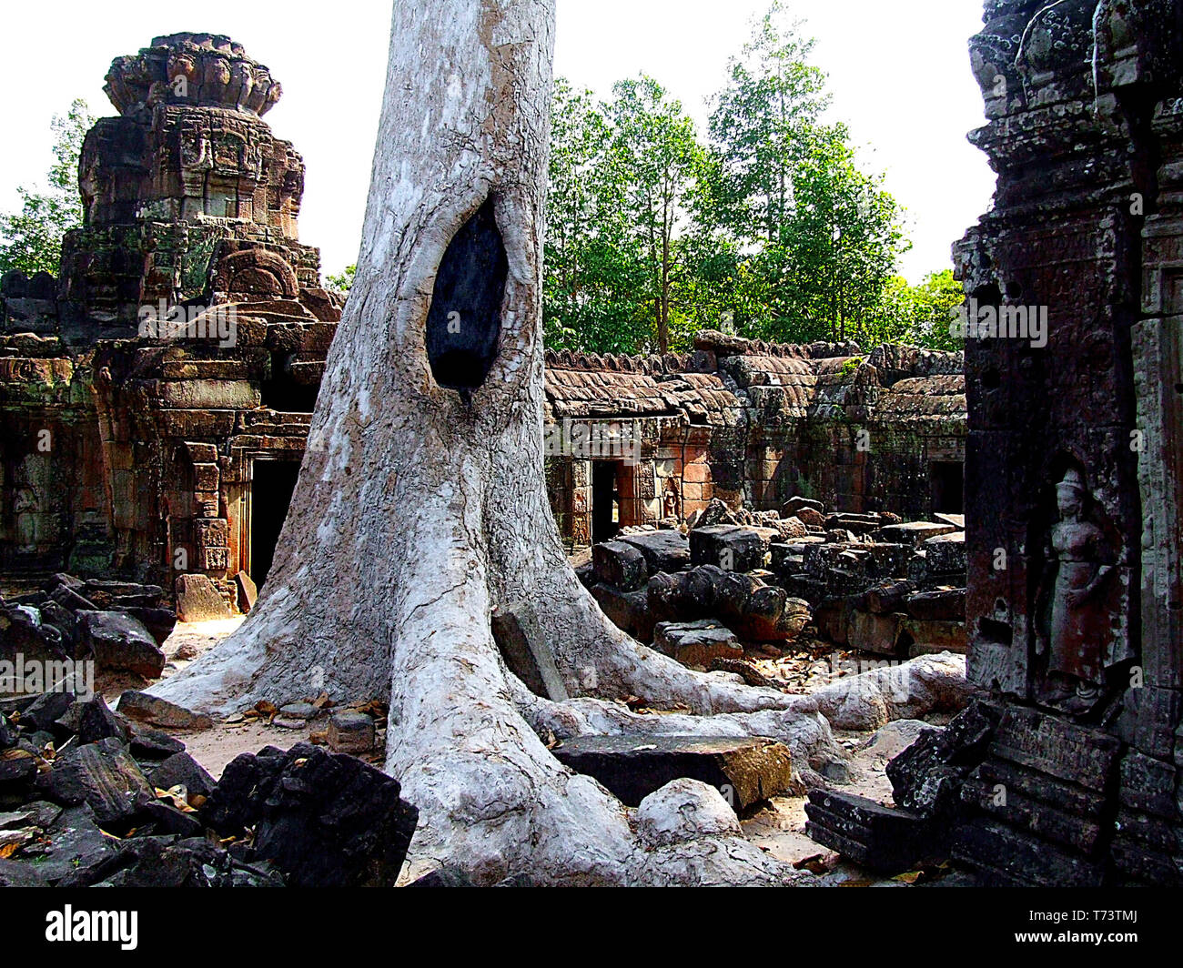 Screaming ghost haunting old ruins Stock Photo - Alamy