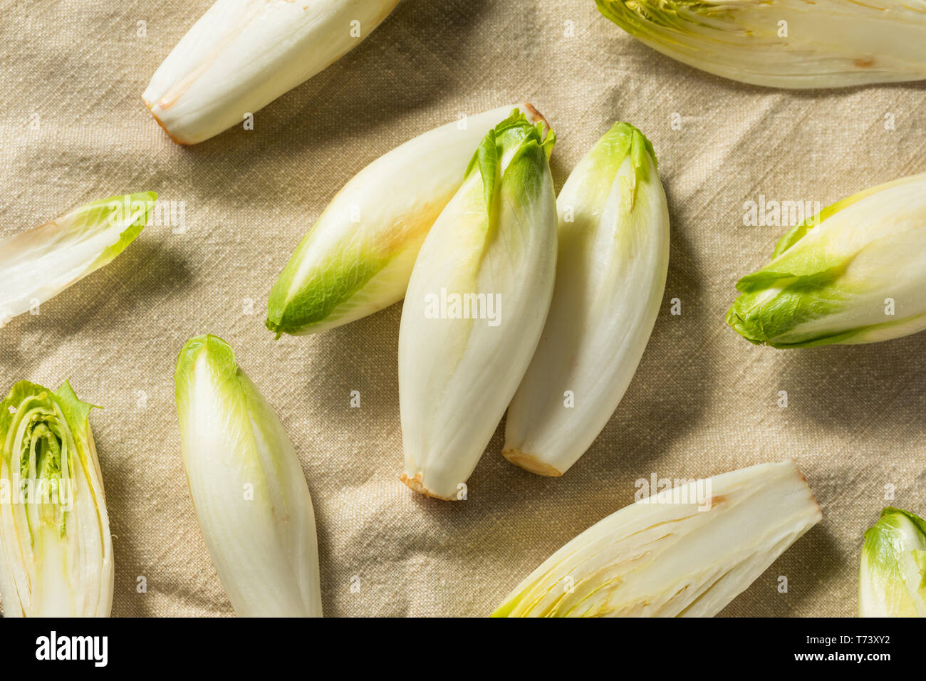 Endive Chicory Cichorium Endivia High Resolution Stock Photography and ...