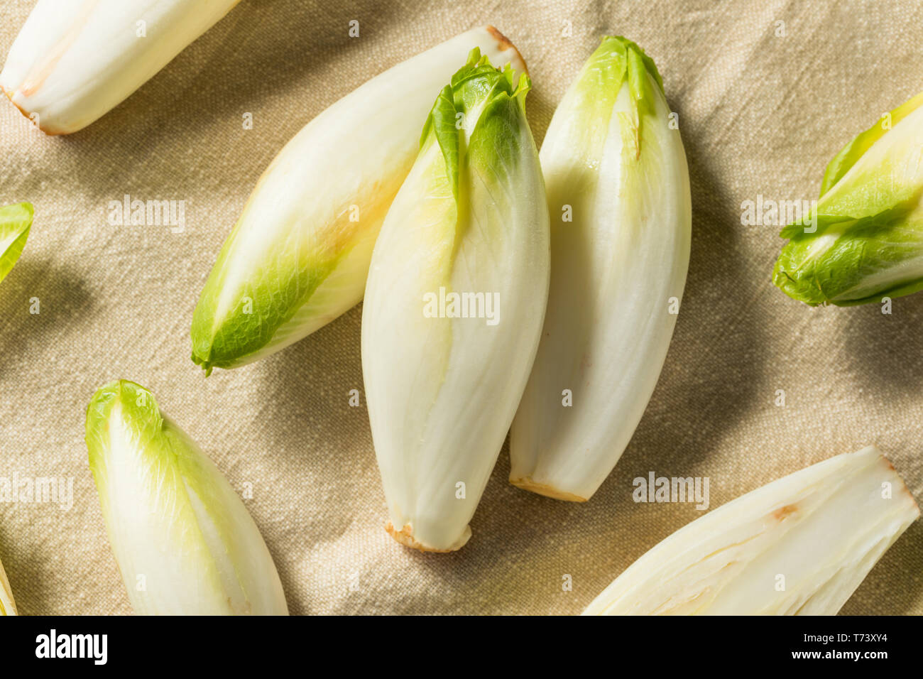 Endive Chicory Cichorium Endivia High Resolution Stock Photography and ...