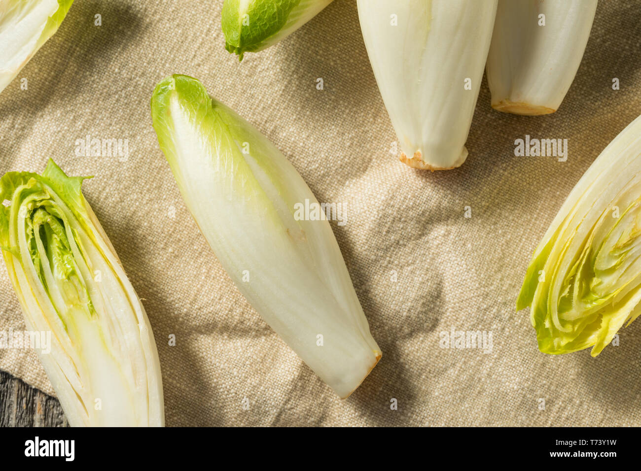 Endive chicory cichorium endivia hi-res stock photography and images ...
