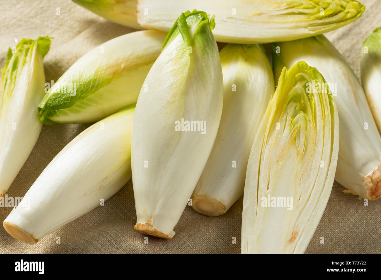 Endive chicory cichorium endivia hi-res stock photography and images ...