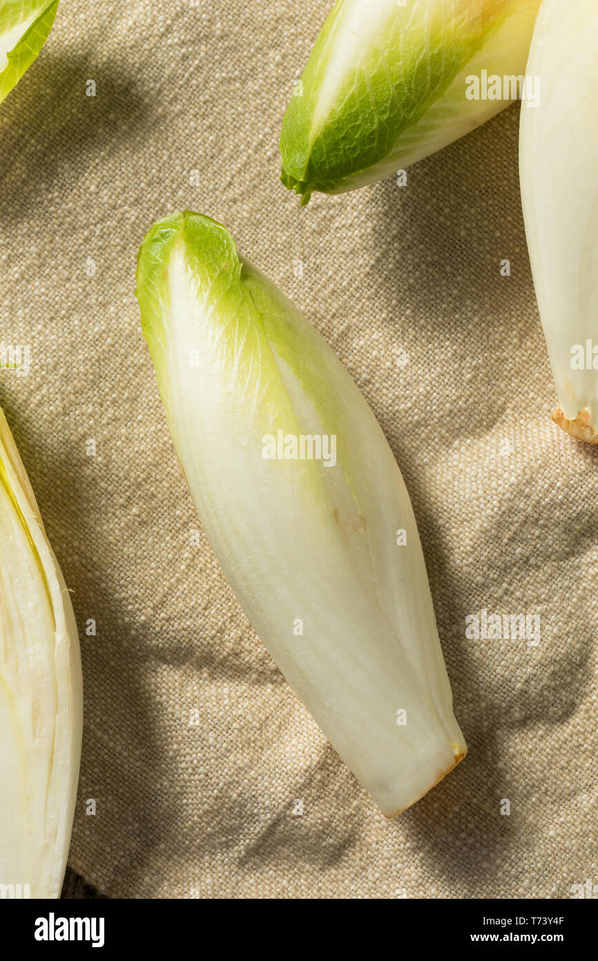Endive Chicory Cichorium Endivia High Resolution Stock Photography and ...