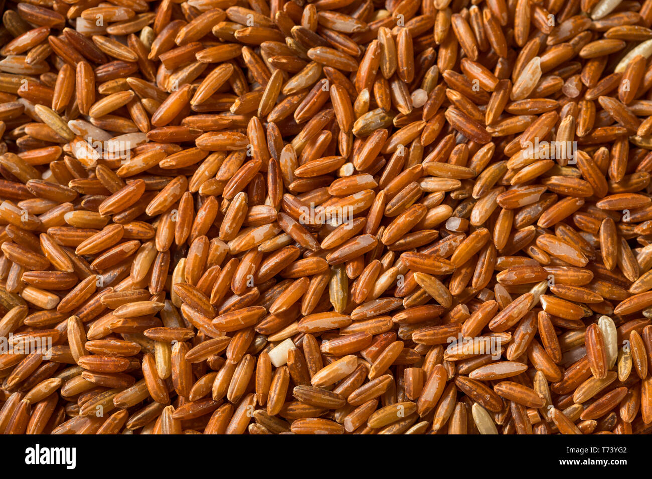 Dry red rice hi-res stock photography and images - Alamy