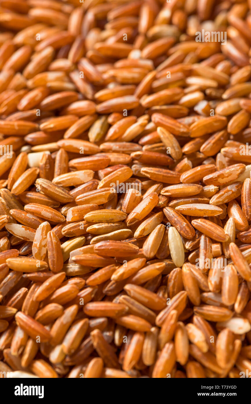 Dry Organic Red Rice in a Bowl Stock Photo - Alamy