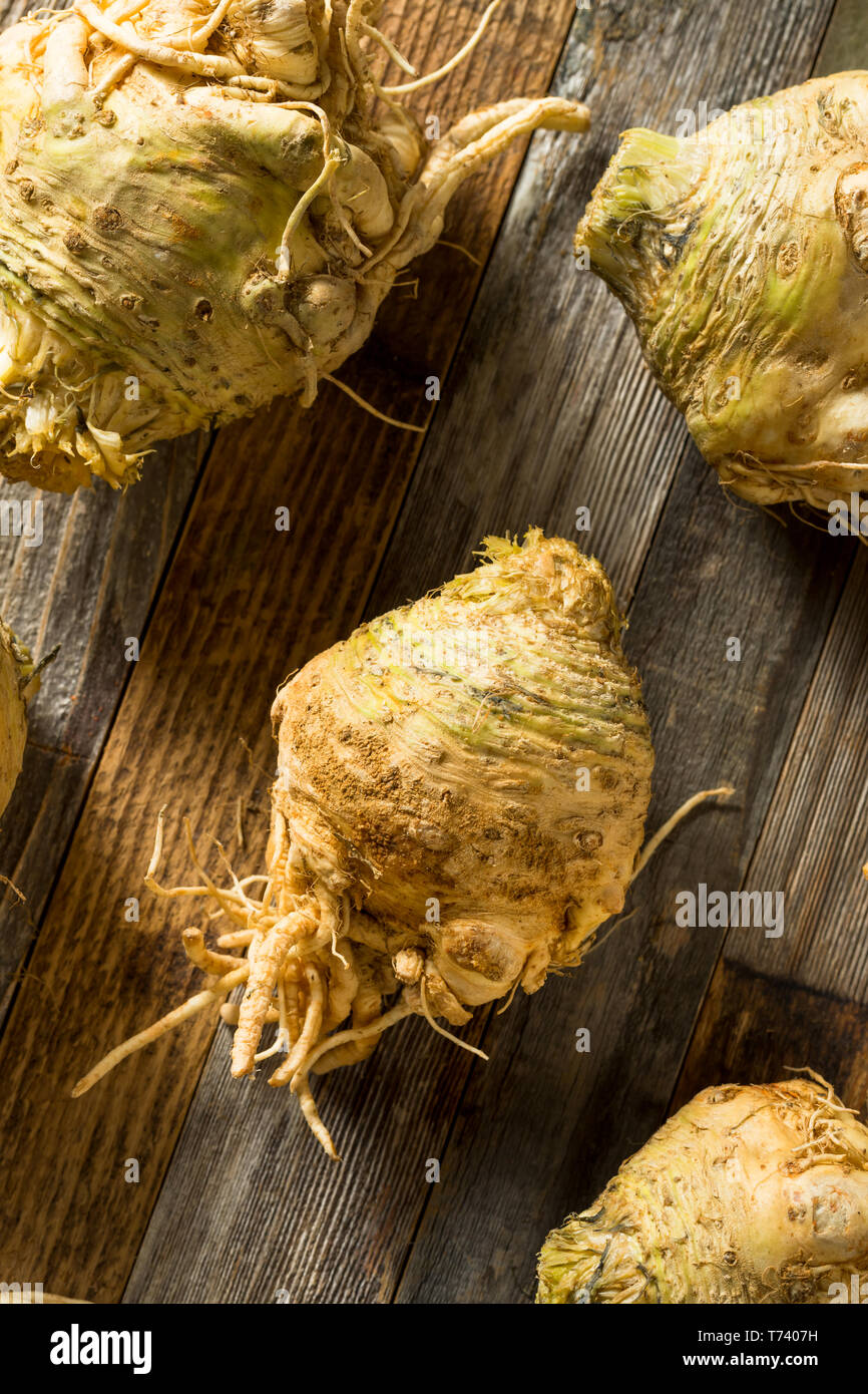 Celery bulb hi-res stock photography and images - Alamy