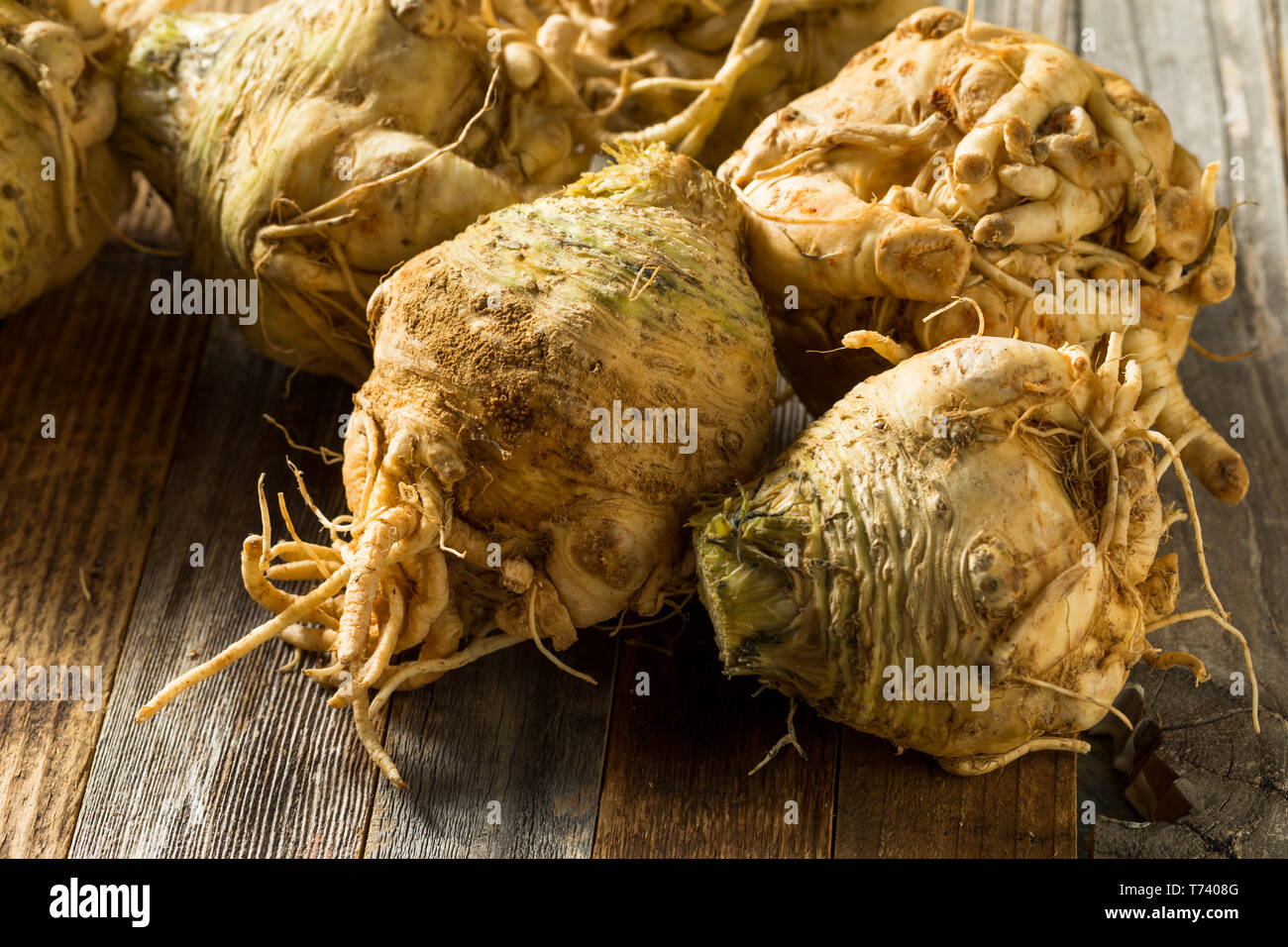 Celery bulb hi-res stock photography and images - Alamy