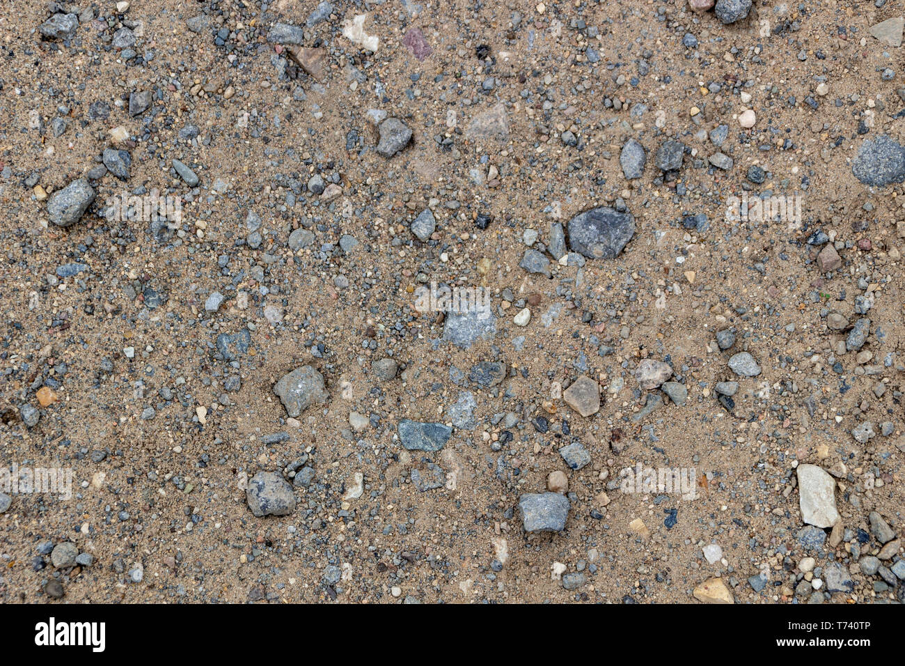 Sandy texture, coast, river bank. Large sand with small stones, bright ...