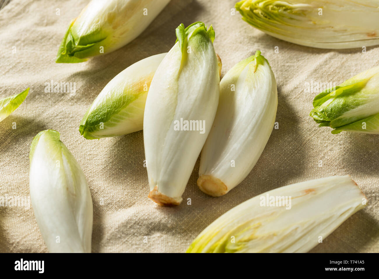 Raw Organic Belgian Endive Ready to Use Stock Photo - Alamy