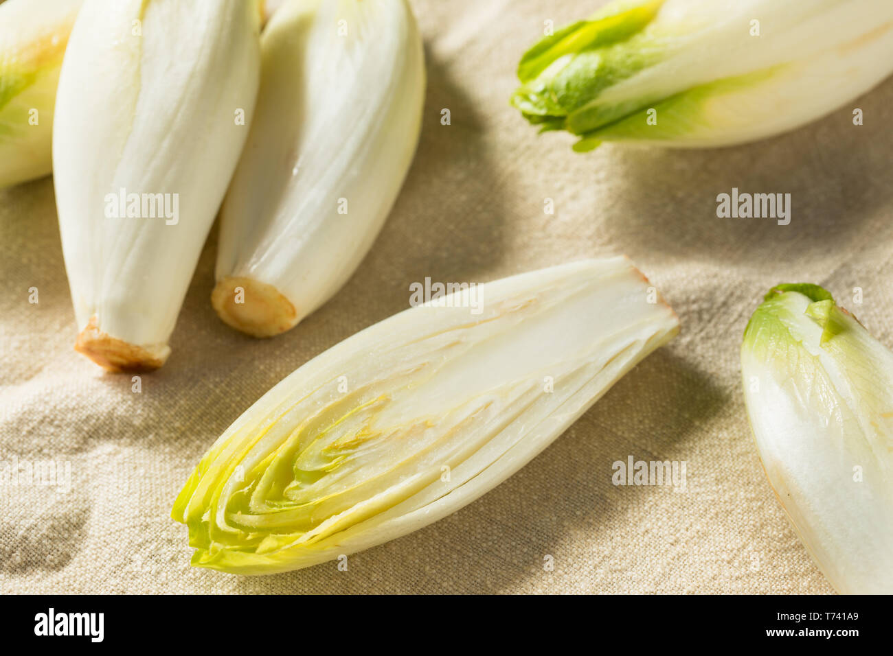 Endive Chicory Cichorium Endivia High Resolution Stock Photography and ...